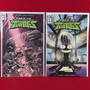 Rise of the Teenage Mutant Ninja Turtles & Sound Off - Complete Run of ...