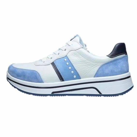 Ara 12-27511 Trainer