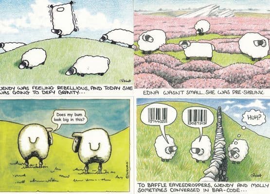 4x Sheep Comic Humour Postcard Bundle
