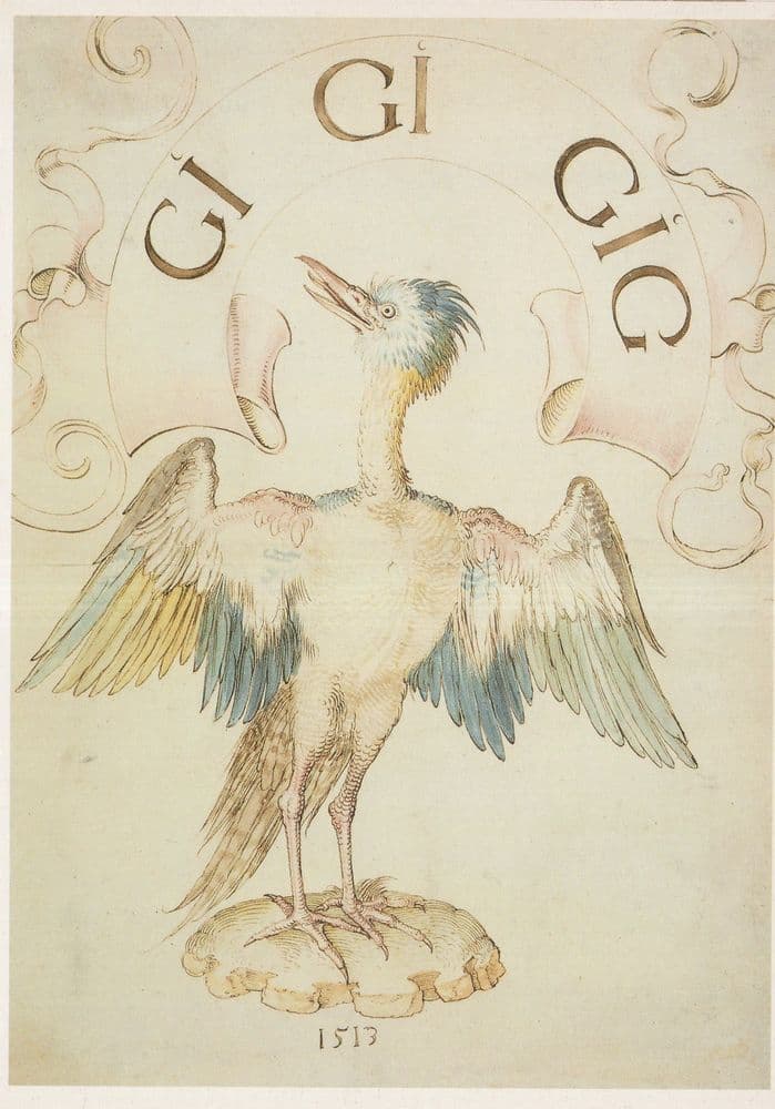 Albrecht Durer Fantastic Bird With Scroll Painting Postcard