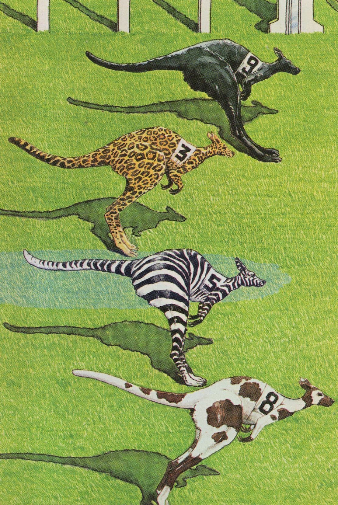 Australian Greyhound Racing Dog Race Melbourne Cup Comic Postcard