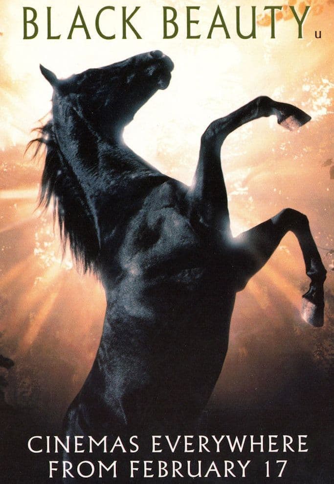 Black Beauty Movie Cinema Gala Premiere Poster Postcard