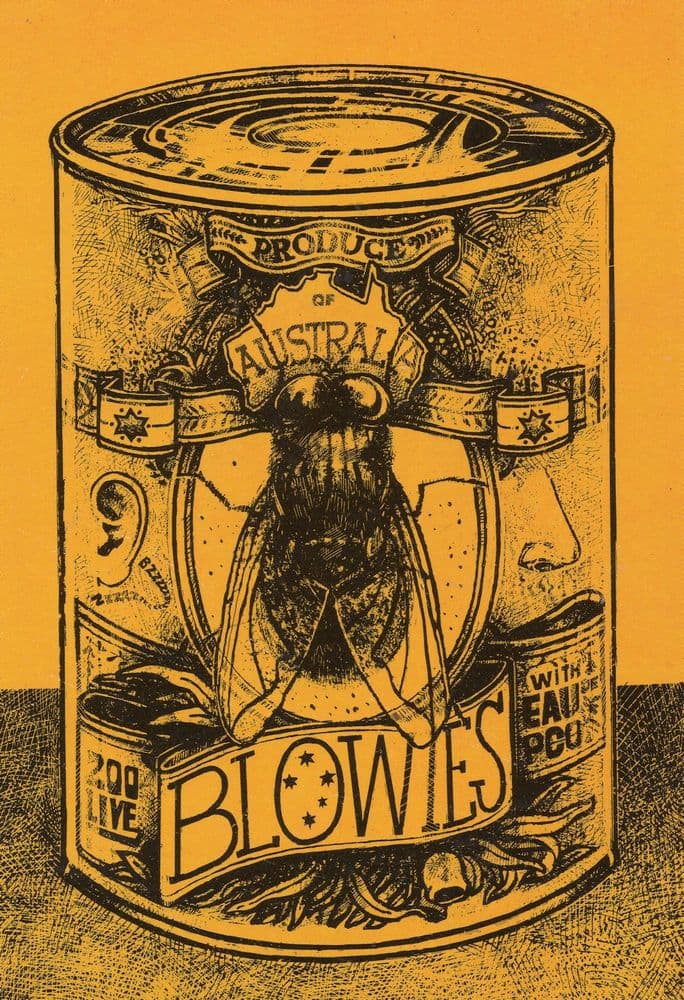Blowies Live Flies Fly Fish Bait Poo Food Comic Australian Postcard