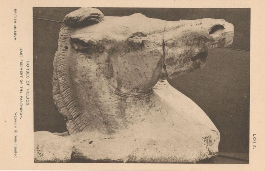 Bronze Horse Of Helios Greek Mythology Antique Statue Postcard