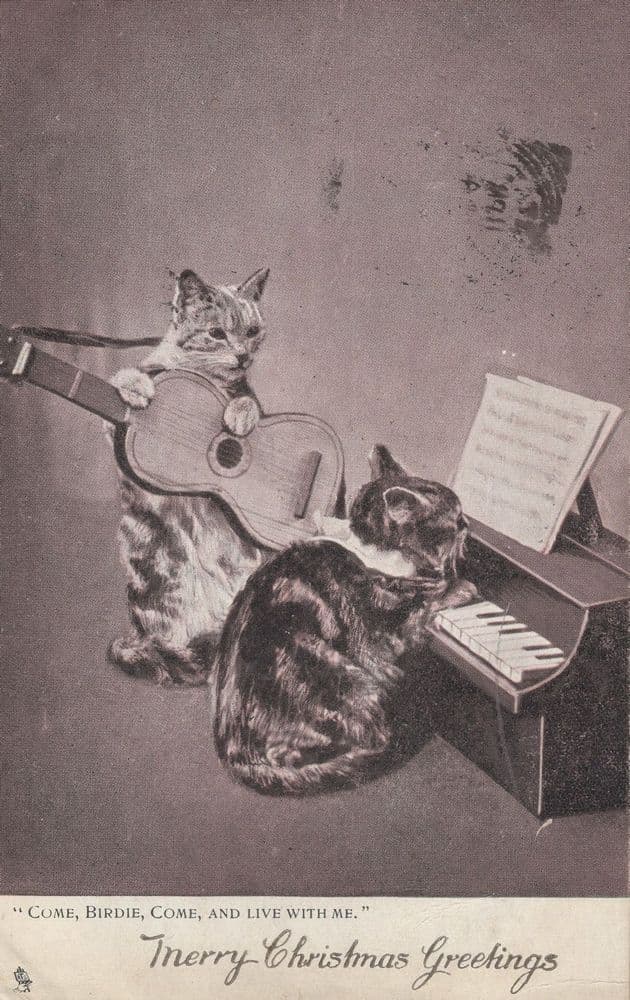 Cat Playing Piano Classical Guitar Music Cats Comic Greetings Postcard
