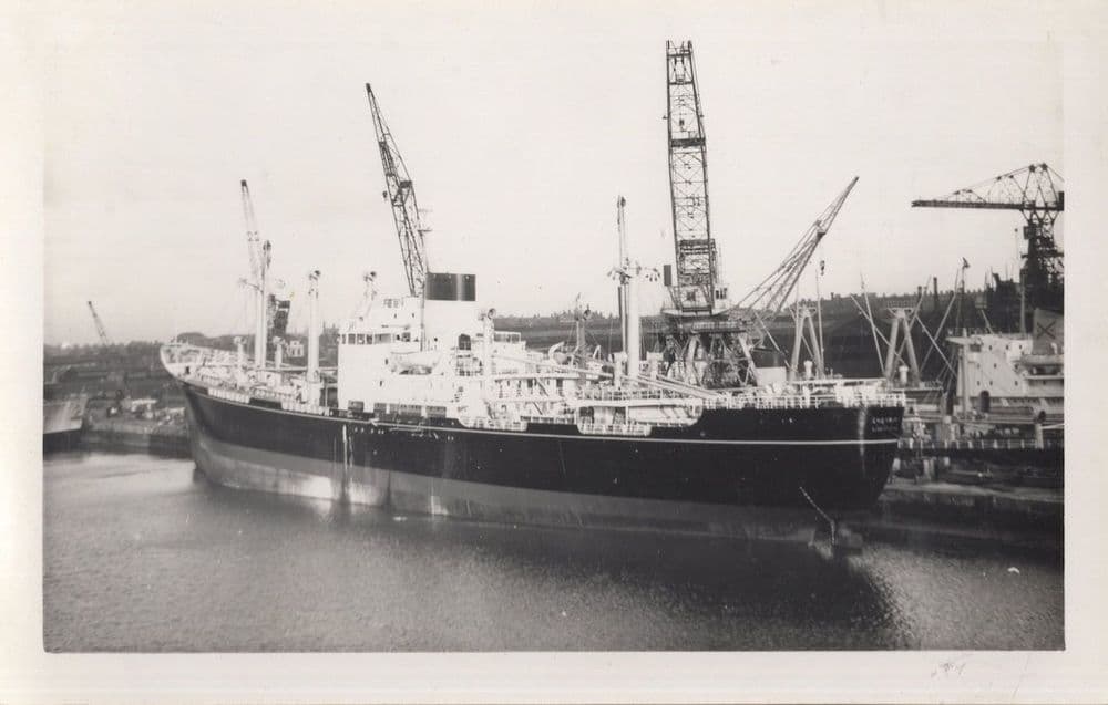 Cheshire Motor Vessel Bibby Line Ship Rare Vintage Photo