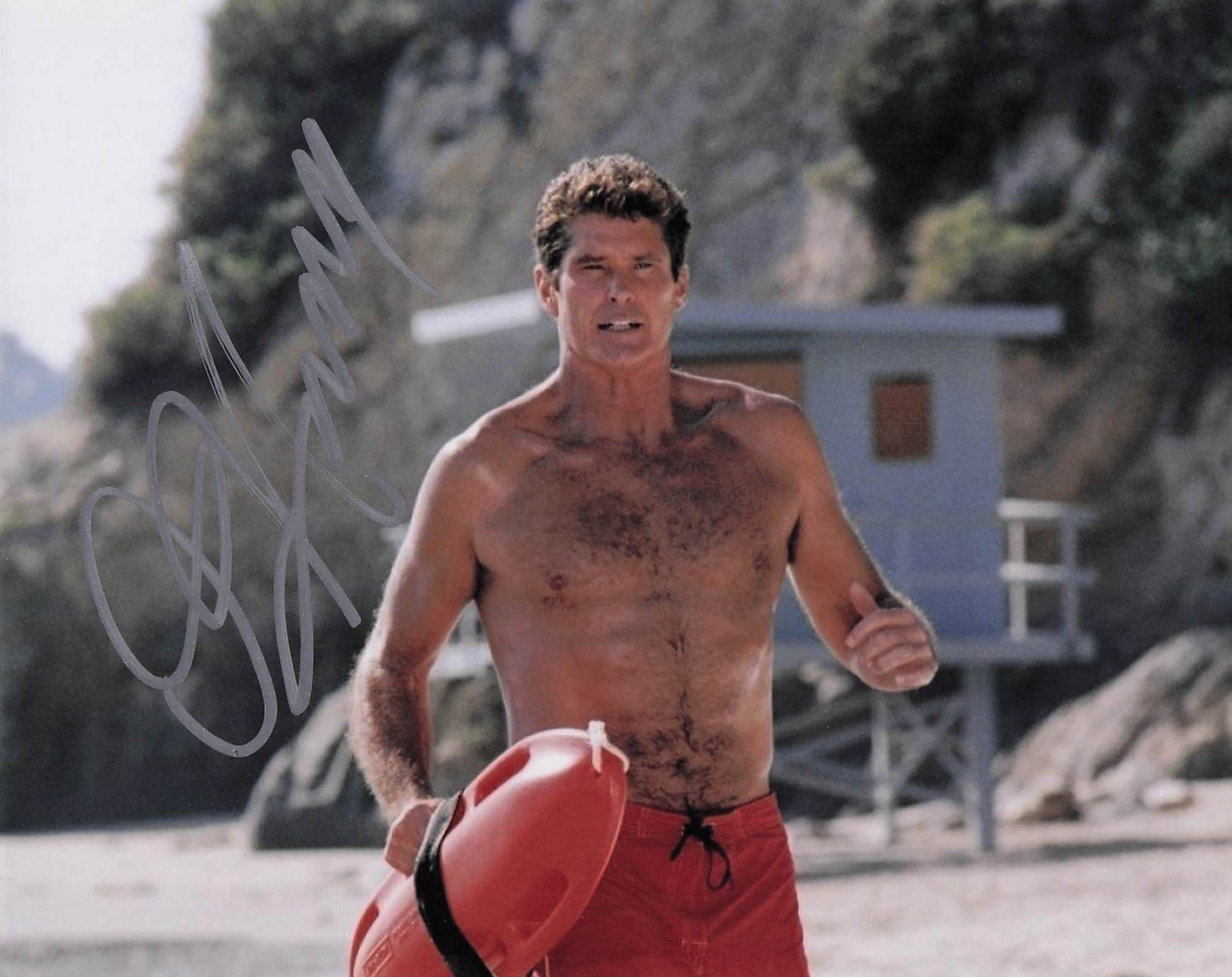 David Hasselhoff in Baywatch Knightrider Large 10x8 Hand Signed Photo