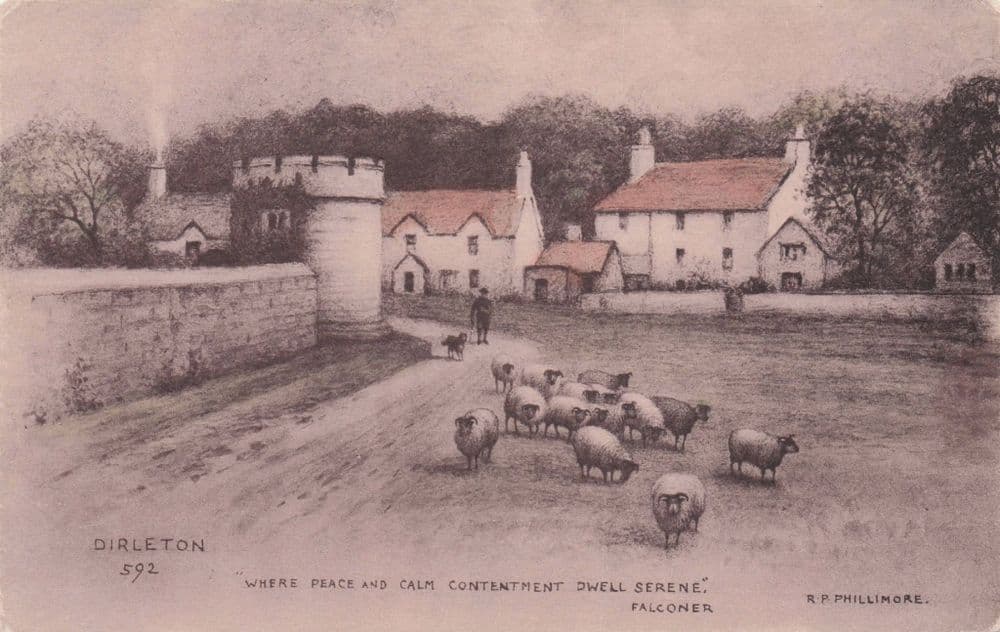 Dirleton Sheep Farmer William Falconer Phillimore Rare Old Postcard