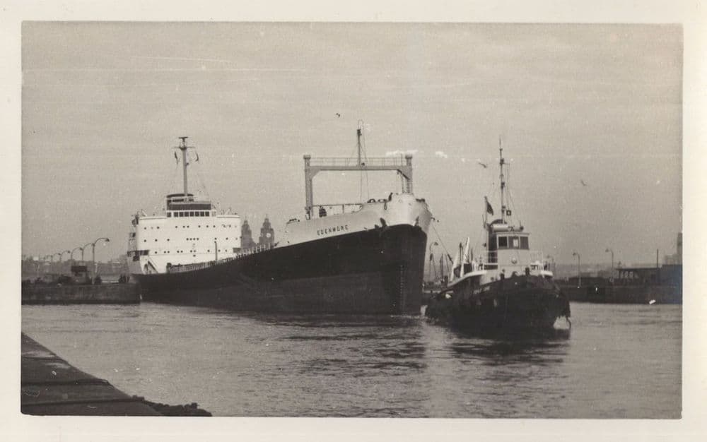 Edenmore Ship Vintage Motor Vessel Carrier Boat Rare Photo