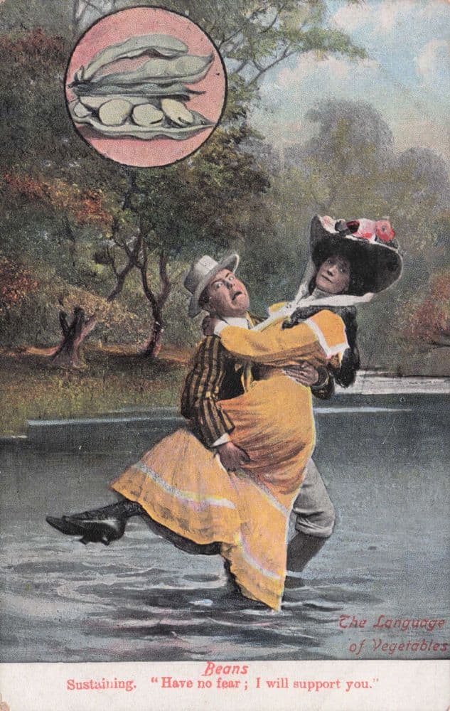 Language Of Vegetables Beans Drowning Rescue Comic Old Postcard