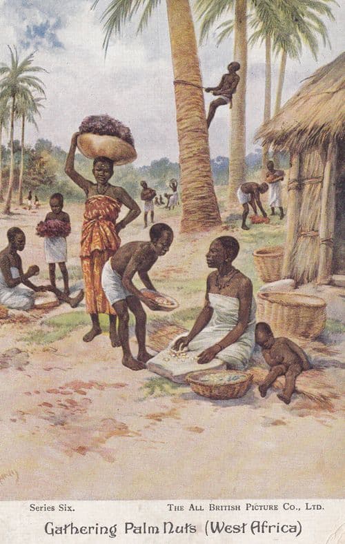 Life In Africa An African Village Palm Nut Nuts Trees Antique Oilette ...