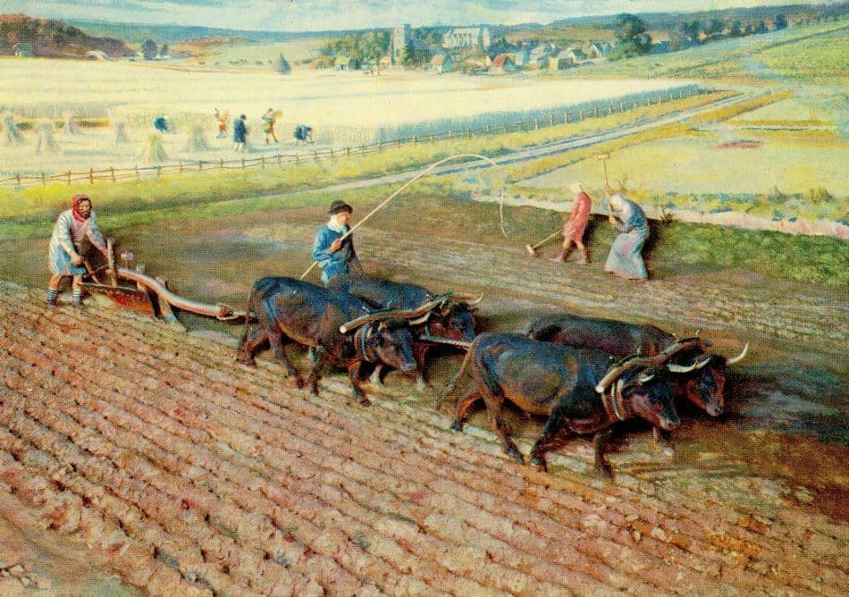 Medieval Ploughing Farming Diorama Ploughing Painting Postcard