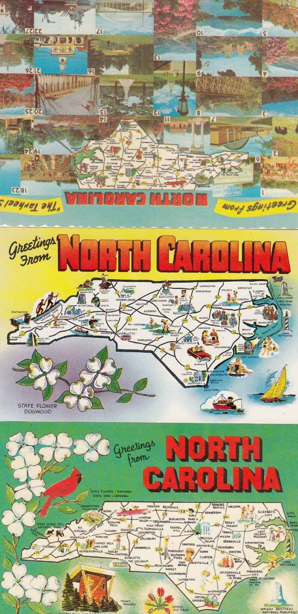 Postcards From North Carolina UNC Postcard – Classic Carolina
