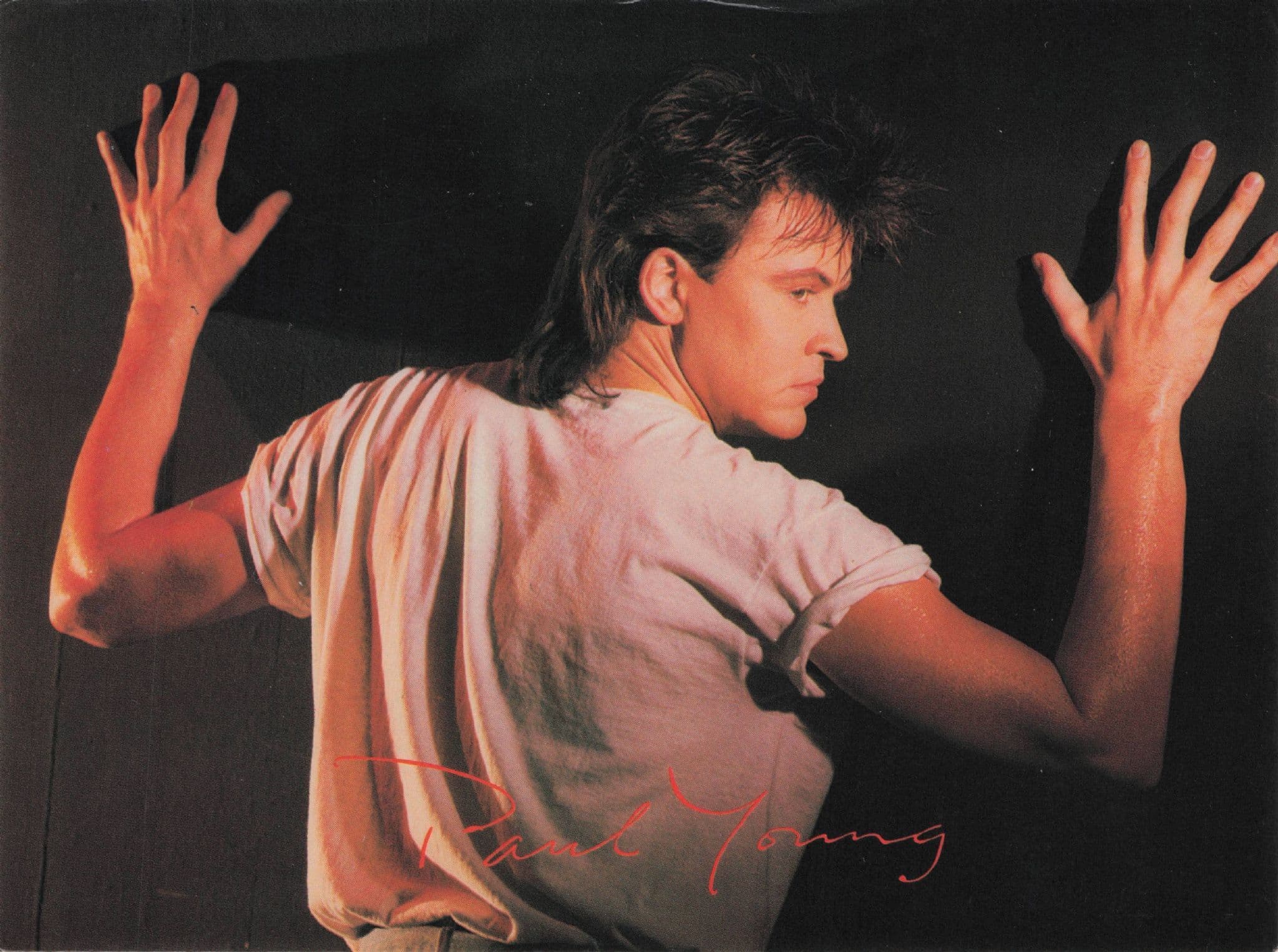 Paul Young Pop Singer Rare Reflex Marketing Photo Postcard