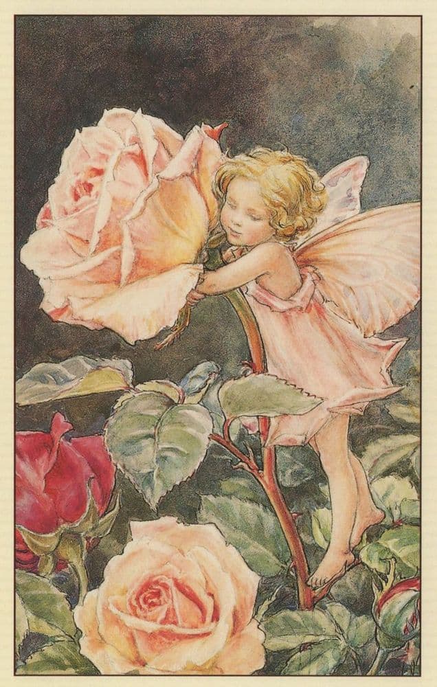 Rose Fairy Flower Fairies from WW2 Book Stunning Postcard