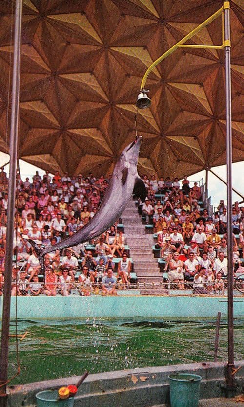Miami Seaquarium 1960s