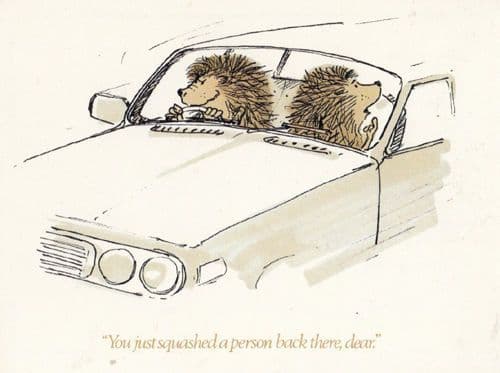 Squashed Hedgehog Run Driving Over Killed Human Bad Taste Comic Postcard