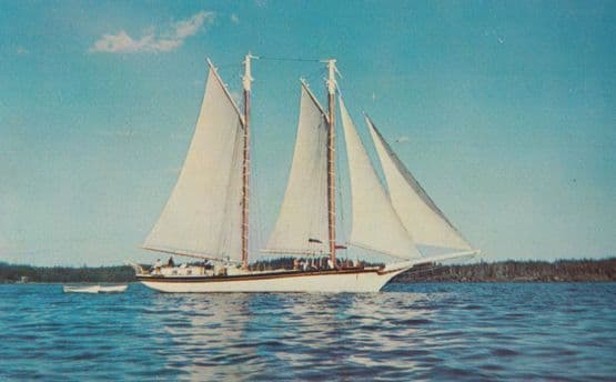 Stephen Taber Schooner Tall Ship Postcard