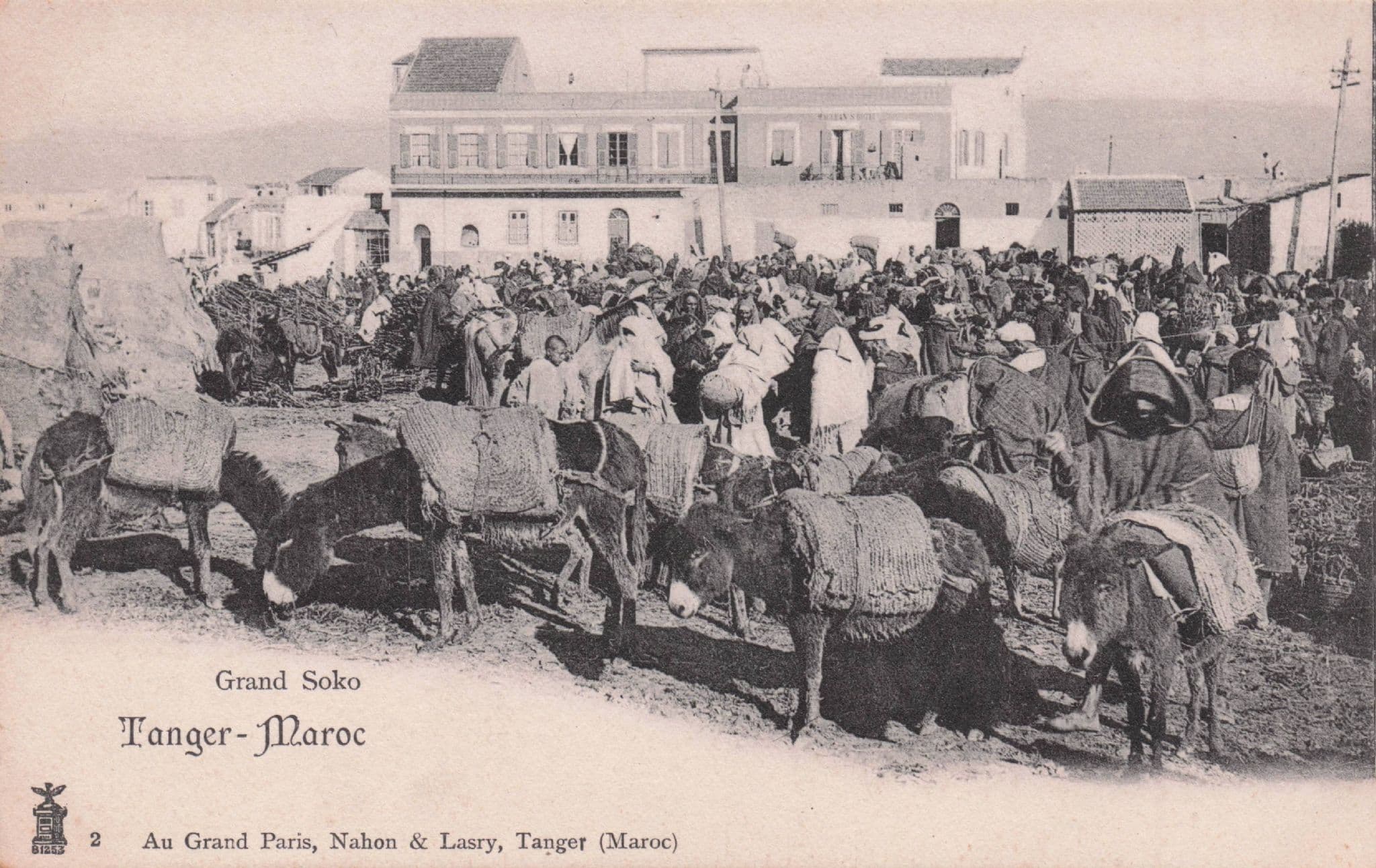 Tanger Maroc Grand Soko Arab Cattle Market Old Postcard