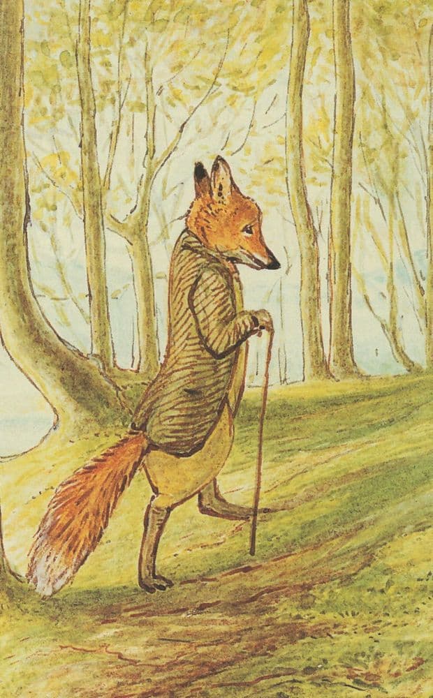 The Tale Of Mr Tod In Woods 1912 Beatrix Potter Postcard