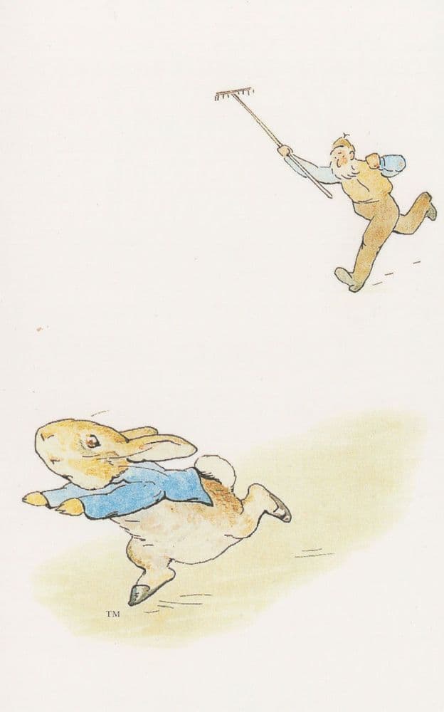 The Tale Of Peter Rabbit Chased By Mr McGregor 1902 Book Postcard