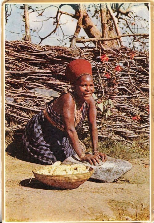 Zulu Woman Natal Cooking Africa African Tribe Fruit Basket Rare Photo ...