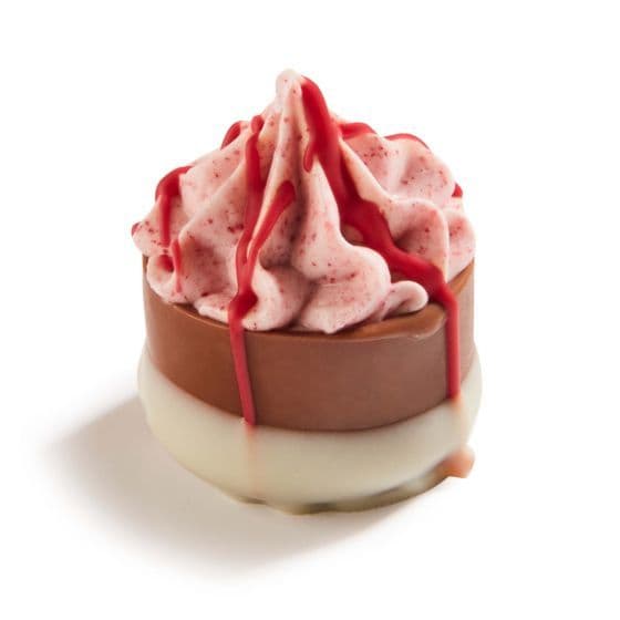 Raspberry Frozen Yoghurt Chocolate