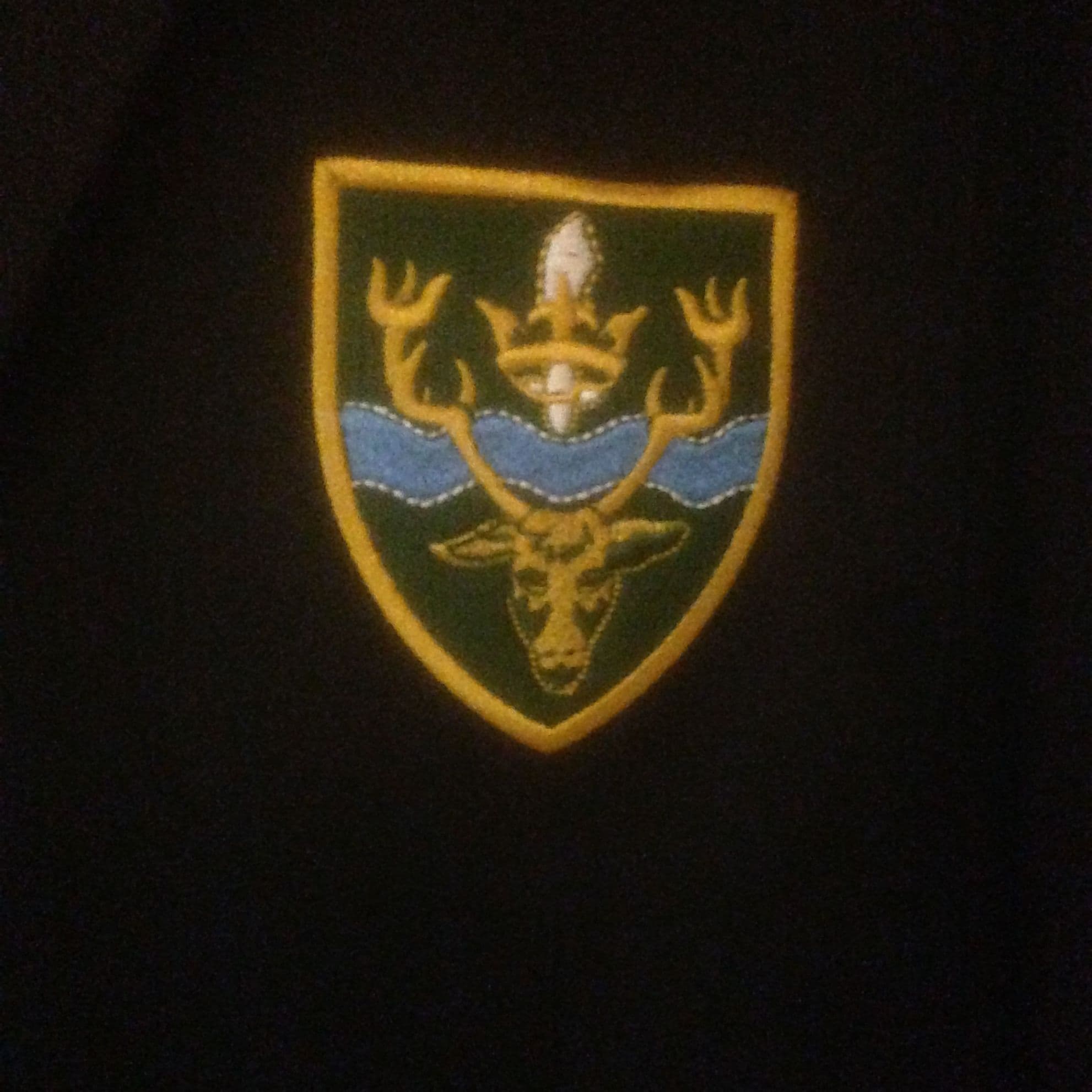 Rushcroft Boys Blazer