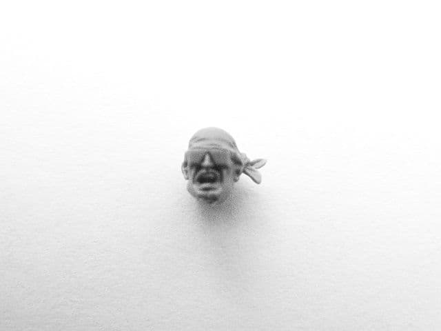 chimera commander head catachan