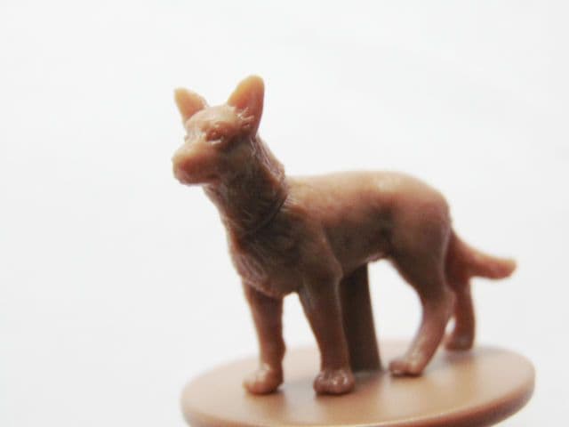 dog companion lucian