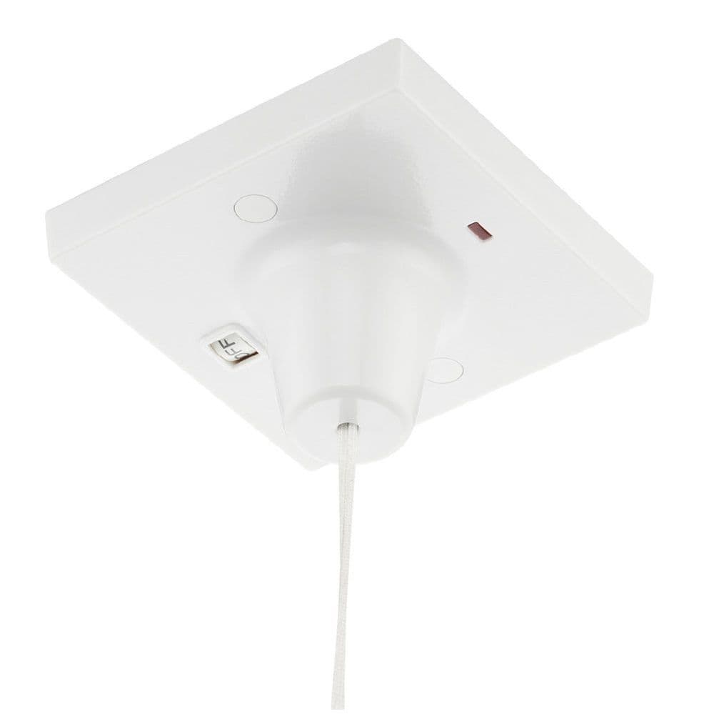 BG 45A Double Pole Ceiling Pull Light Switch with Indicator
