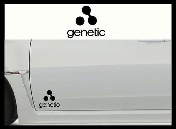 GENETIC CAR BODY DECALS