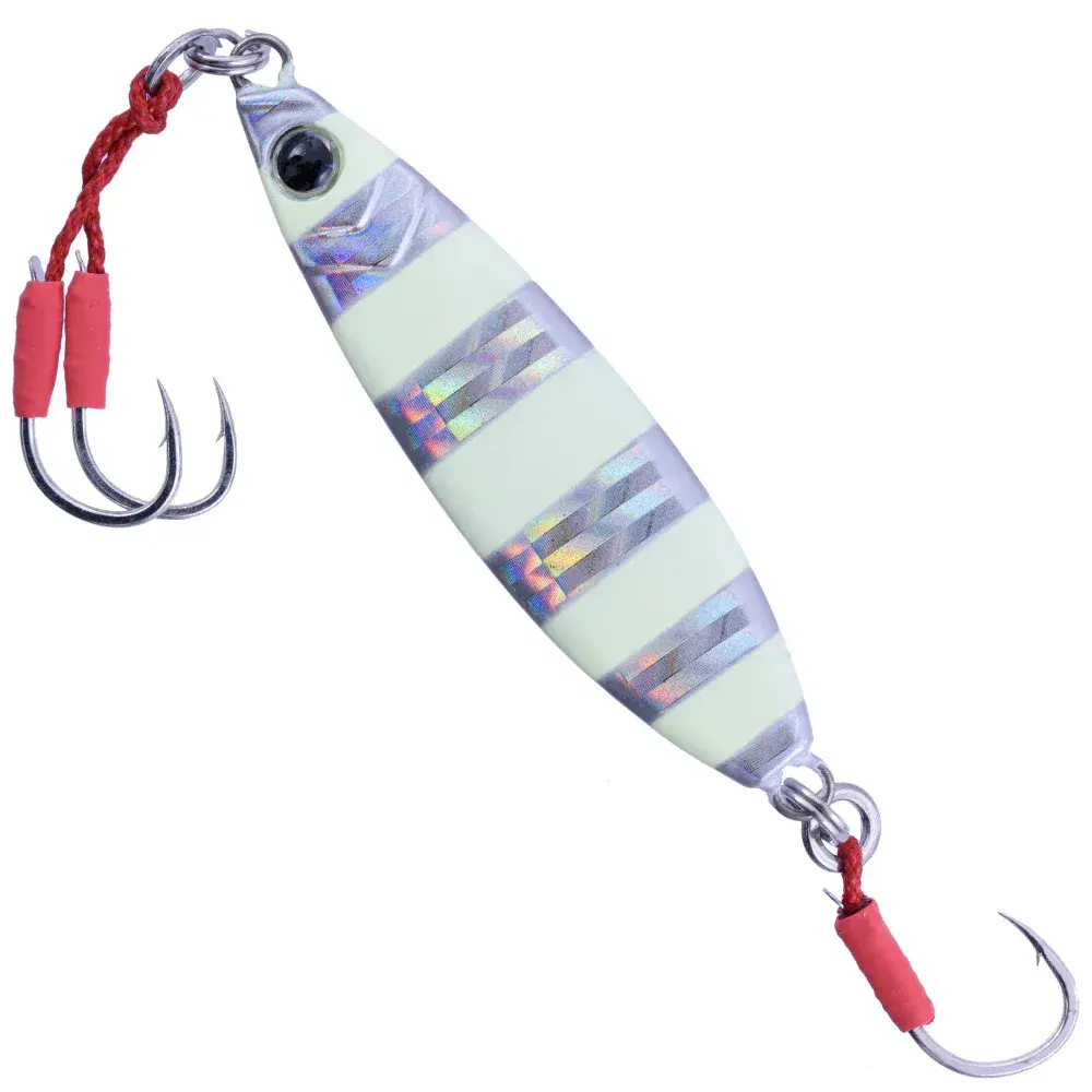 Jigpara Slow 100g Jig