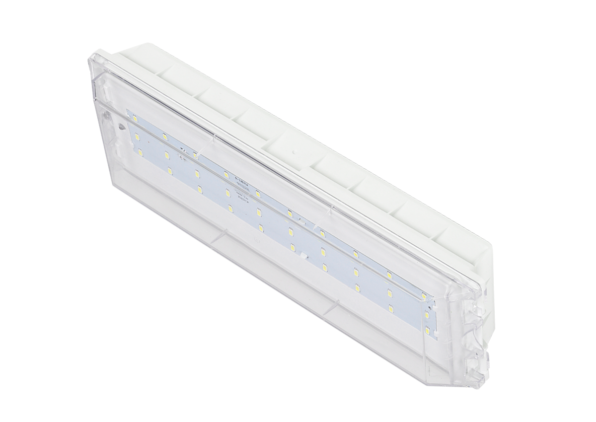 NVC NDK/NM3 Dakota LiFe LED IP65 Non-Maintained Bulkhead