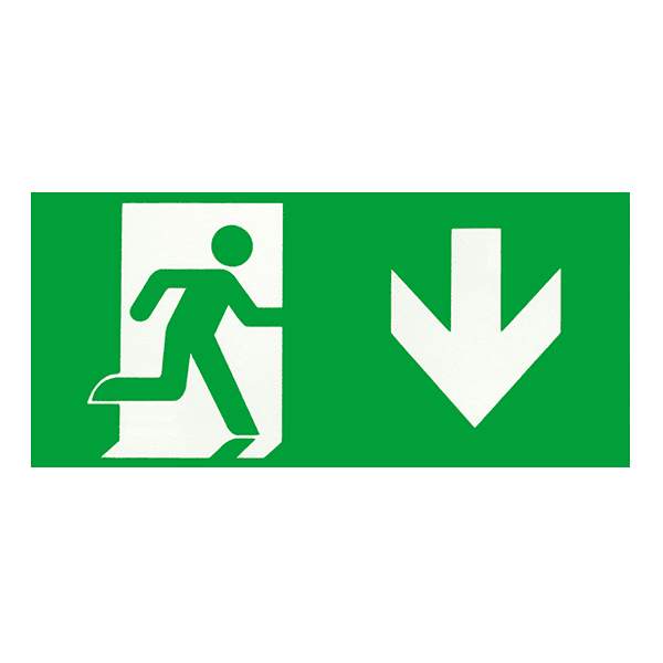 Ovia Lighting OVEMSP006D Calvex Emergency Box Exit Sign Legend Down