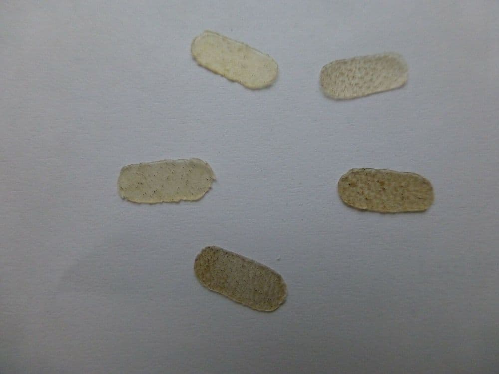 5 X BRIDGE PARCHMENT/PROTECTOR FOR E STRING VIOLIN/VIOLA UK SELLER