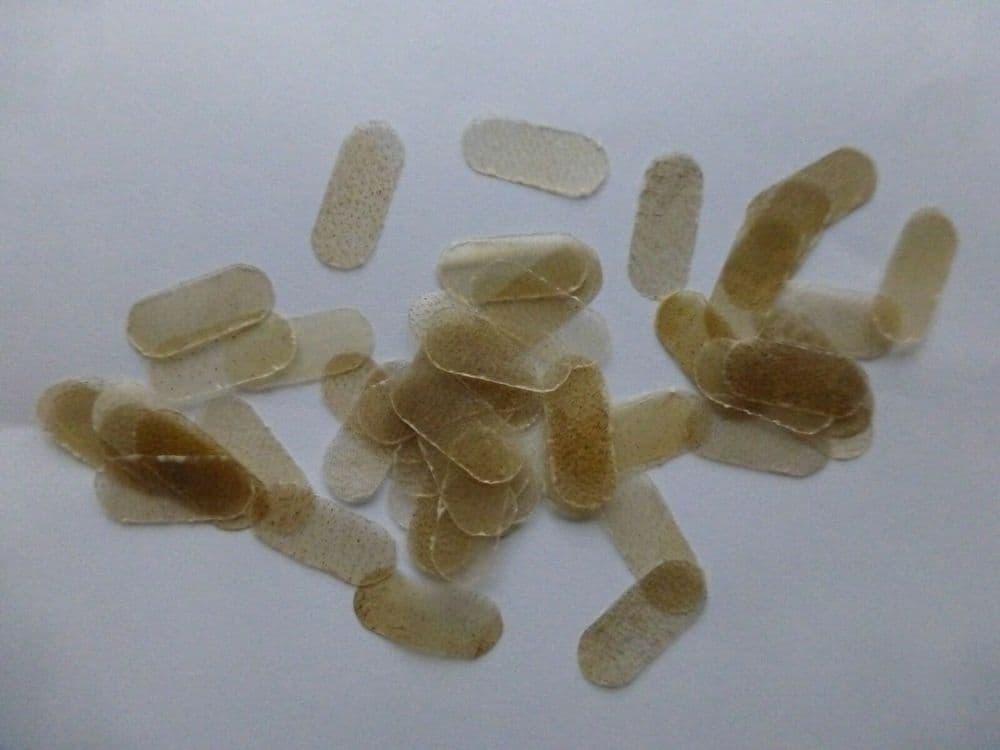 50 X CELLO BRIDGE PARCHMENT / PROTECTOR PLACE UNDER STRINGS UK SELLER