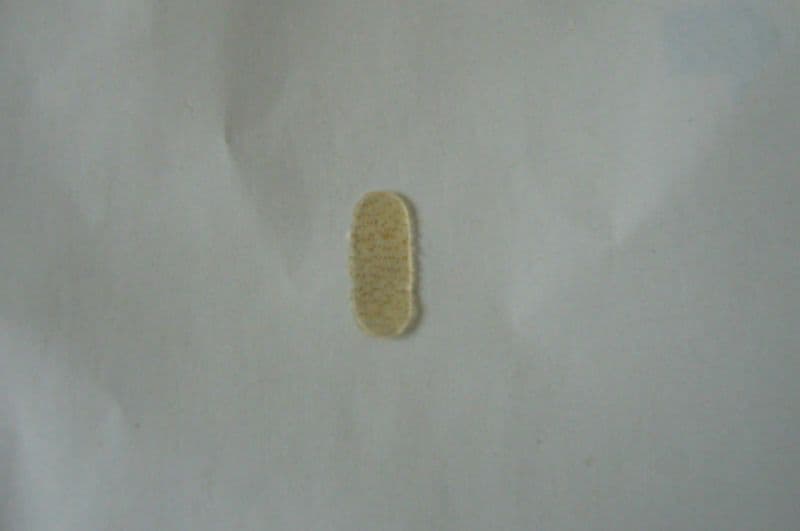 CELLO BRIDGE PARCHMENT / PROTECTOR PLACE UNDER STRINGS UK SELLER