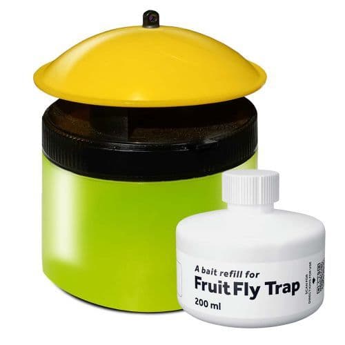 AF Fruit Fly Traps | Cluster Fly Products