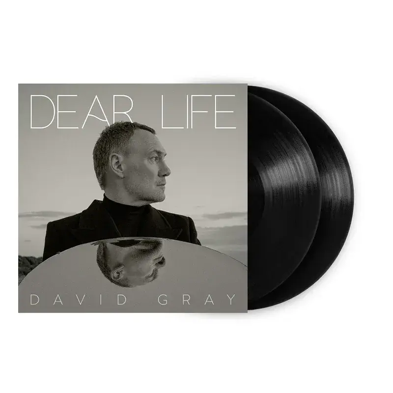 DAVID GRAY DEAR LIFE Double VINYL LP 2025