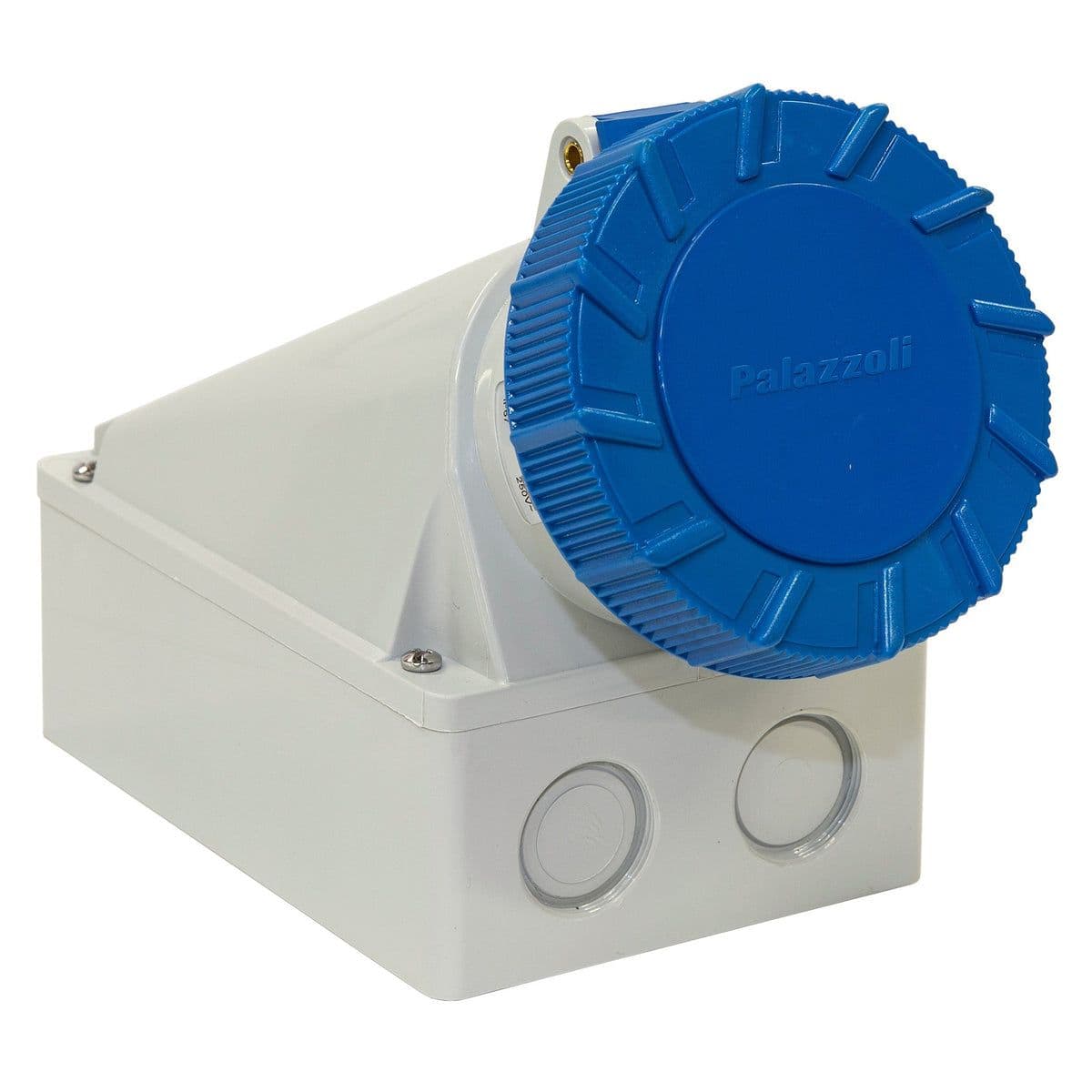 Lewden 63A 2P+E 230V Angled Wall Mounted Socket IP67 | Consumer Unit World