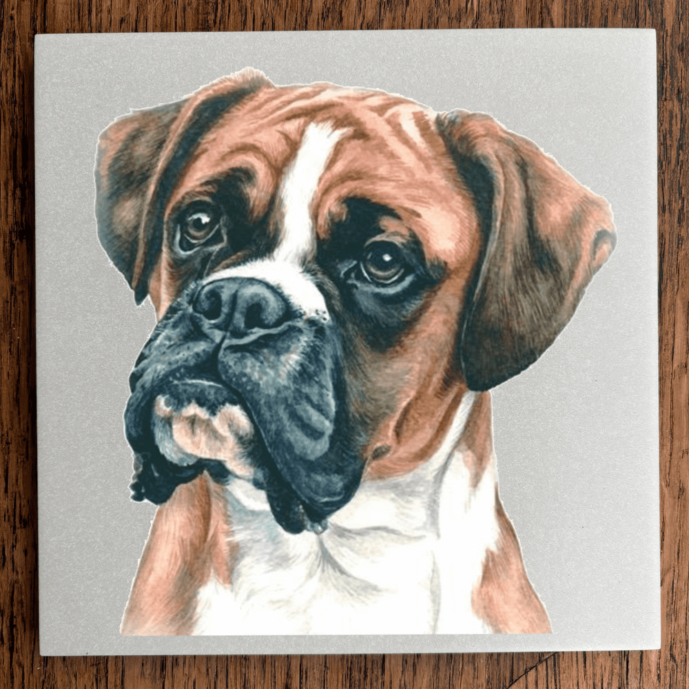 Boxer Trivet