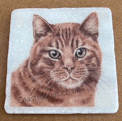 Cat Coasters