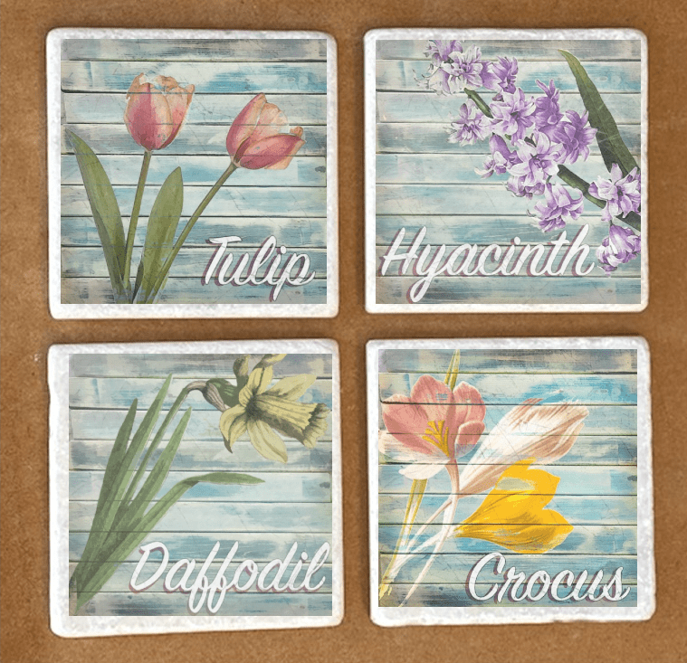 Flowers Spring; Tulip Daffodils Hyacinth Crocus