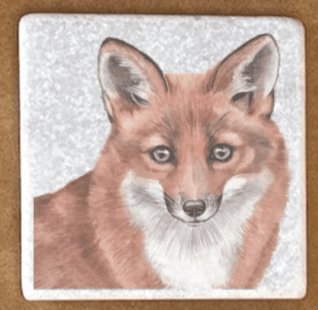 Fox Coasters