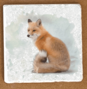 Fox Coasters