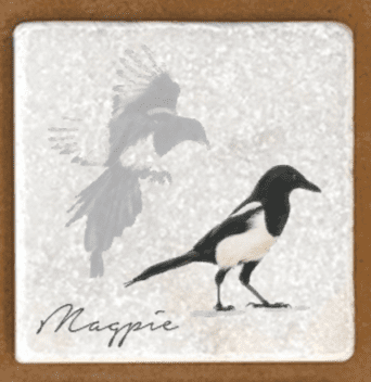 Garden Birds Magpie marble coaster