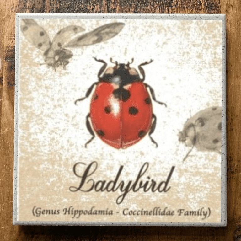 Lady Bird Trivet