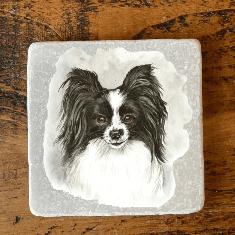 Papillion
