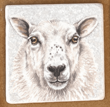Sheep Marble Coasters